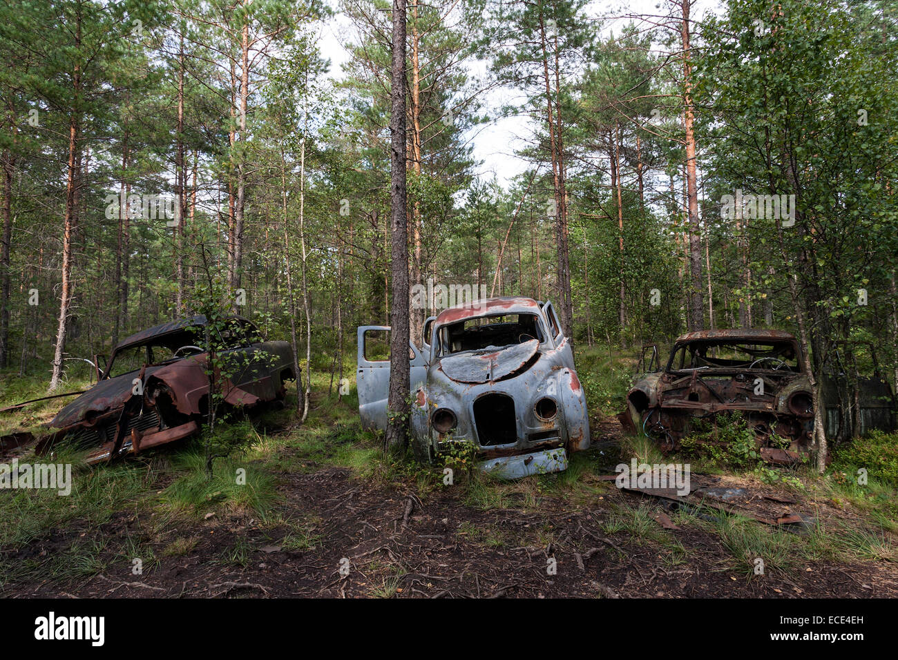 Friedhof Der E Autos