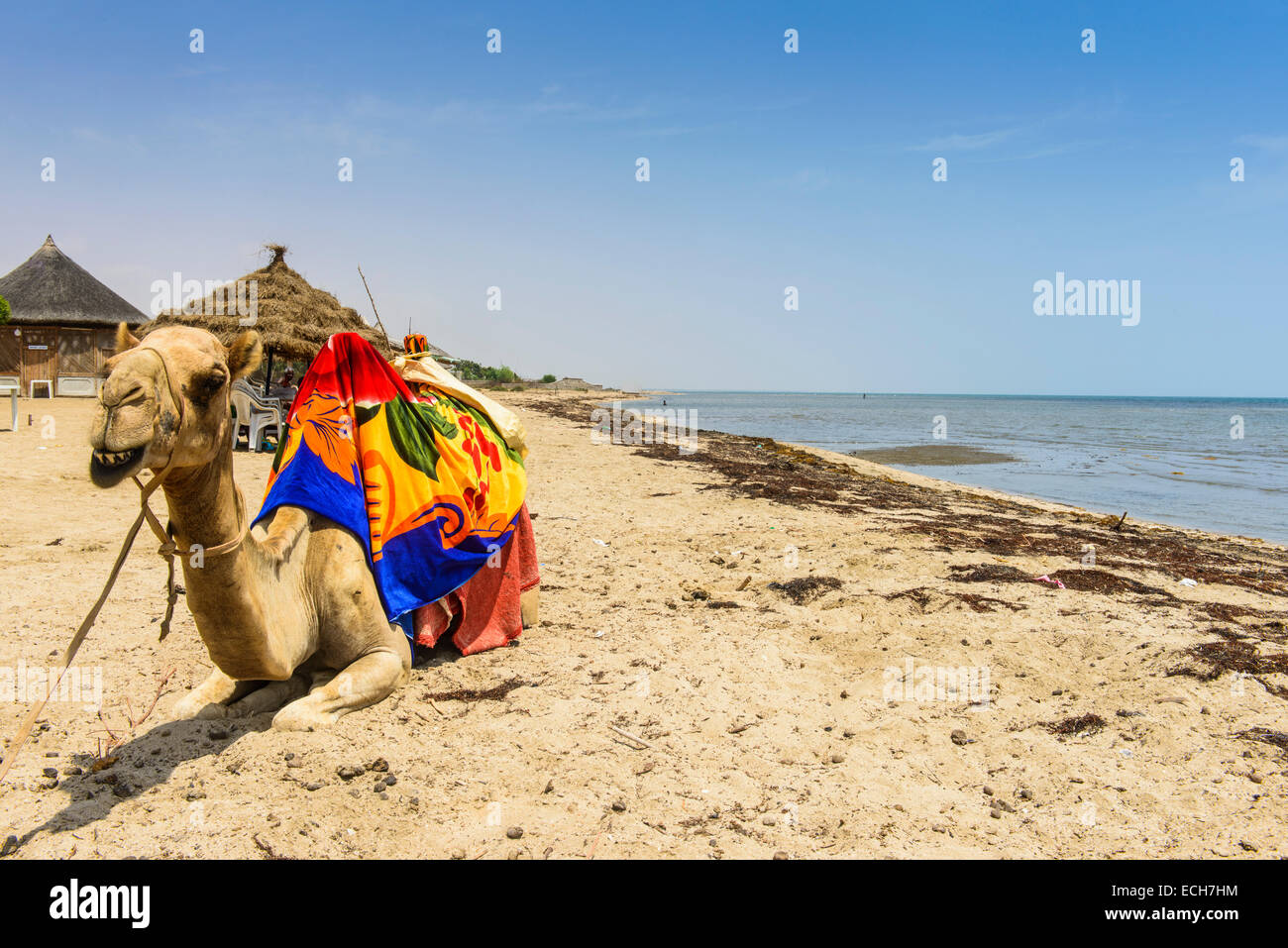 Massawa coast eritrea -Fotos und -Bildmaterial in hoher Auflösung – Alamy