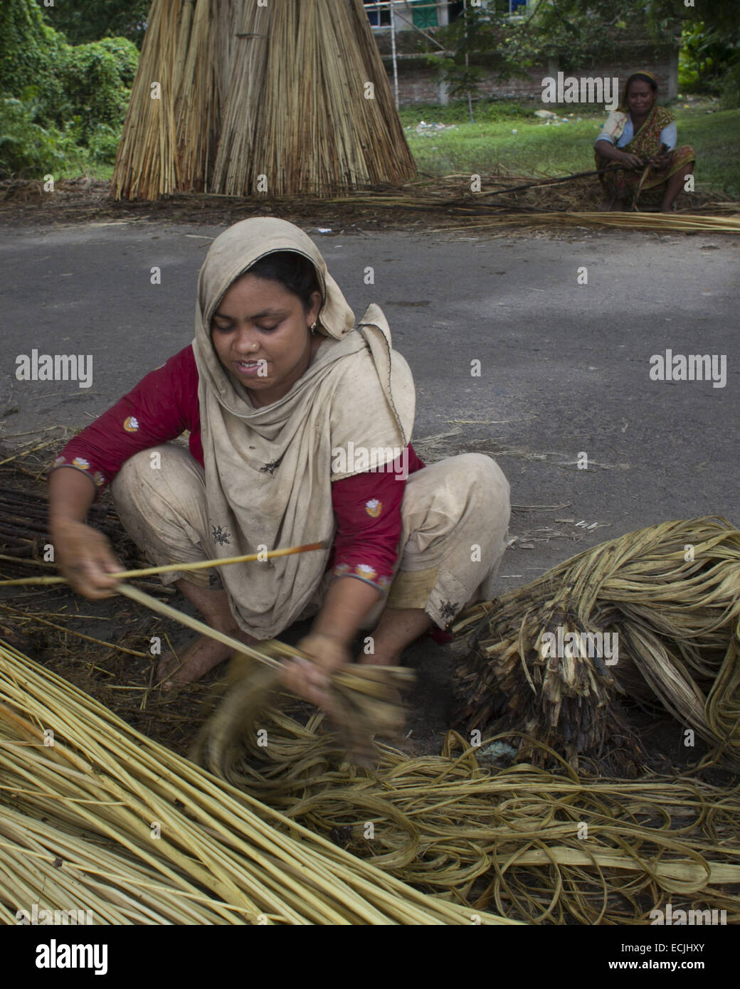 Munshigonj, Bangladesch. 14. August 2013. Landwirt Verarbeitung Jute ...