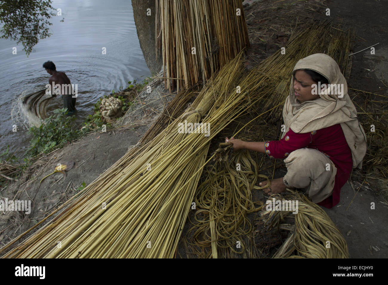 Munshigonj, Bangladesch. 14. August 2013. Landwirt Verarbeitung Jute ...