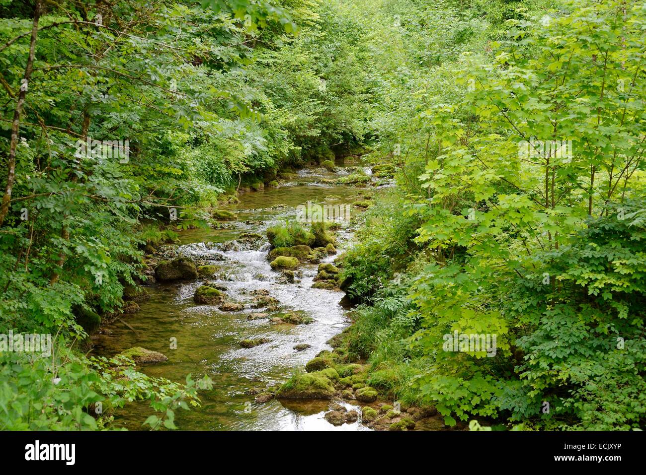 Frankreich, Quelle Doubs, Fluss Dessoubremountain im Tal des Trostes in ...