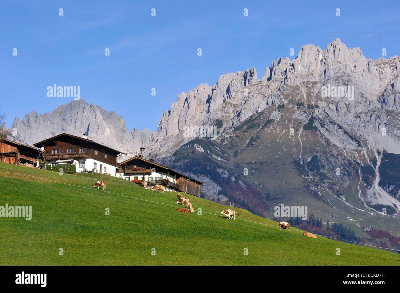 Österreich, Tirol, Going bin Wilder Kaiser, Alpine Landschaft und ...