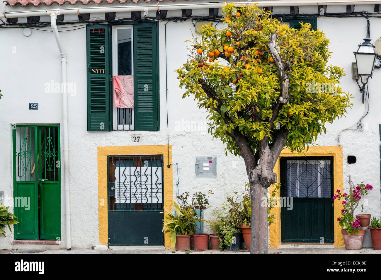 Palma mallorca santa catalina -Fotos und -Bildmaterial in hoher Auflösung – Alamy