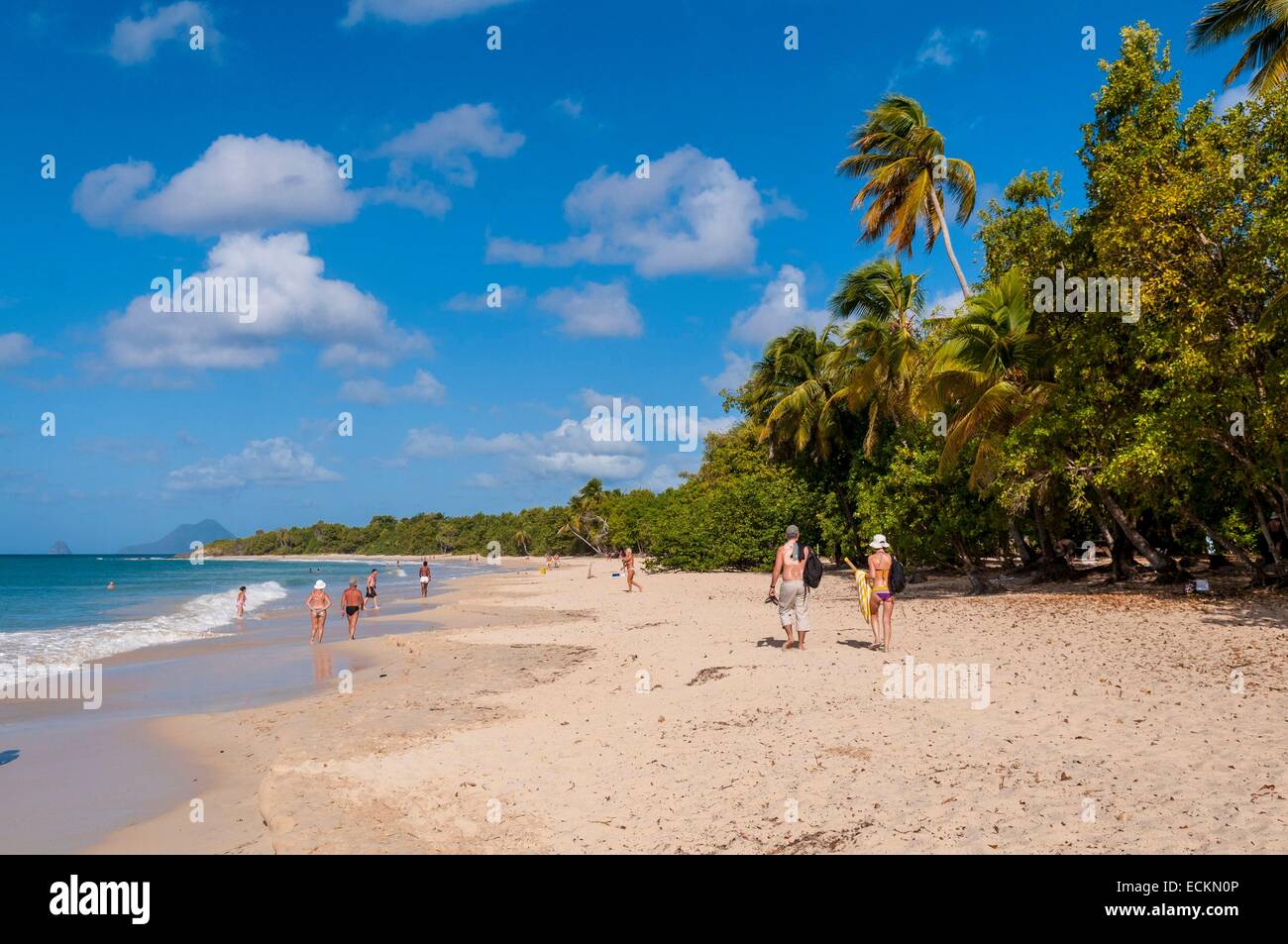 Grand anse martinique -Fotos und -Bildmaterial in hoher Auflösung – Alamy