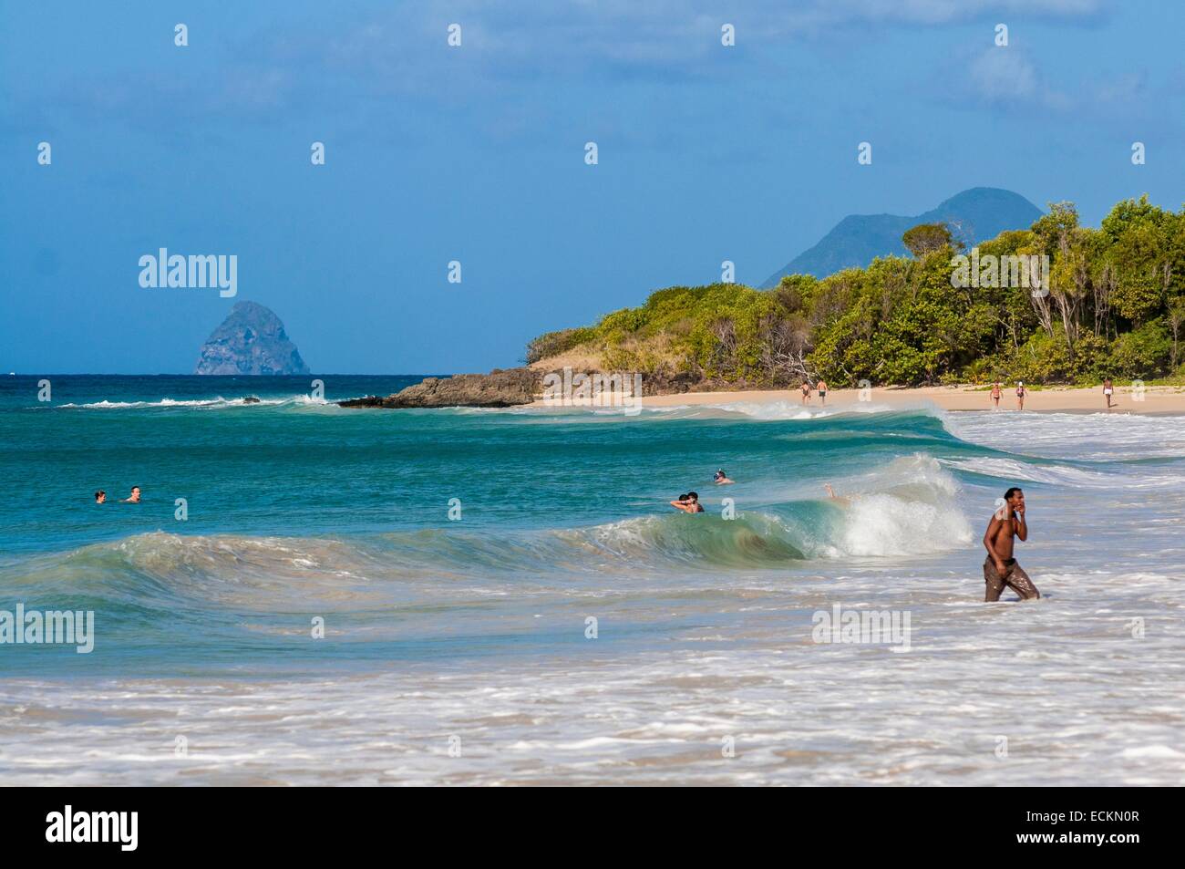 Grand anse martinique -Fotos und -Bildmaterial in hoher Auflösung – Alamy