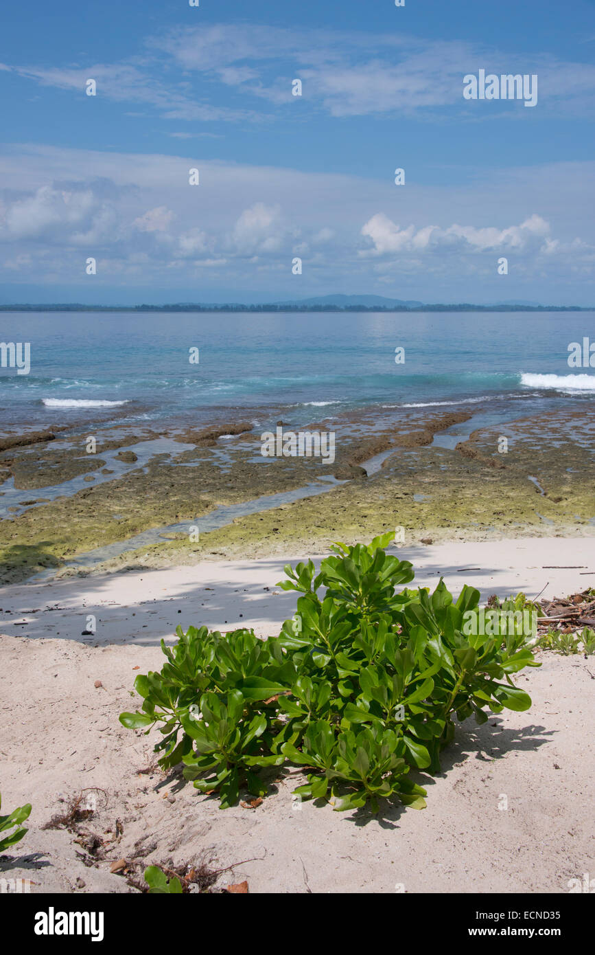 Melanesien, Neuguinea, Papua Neu-Guinea. Kleine Insel von Ali vor der ...