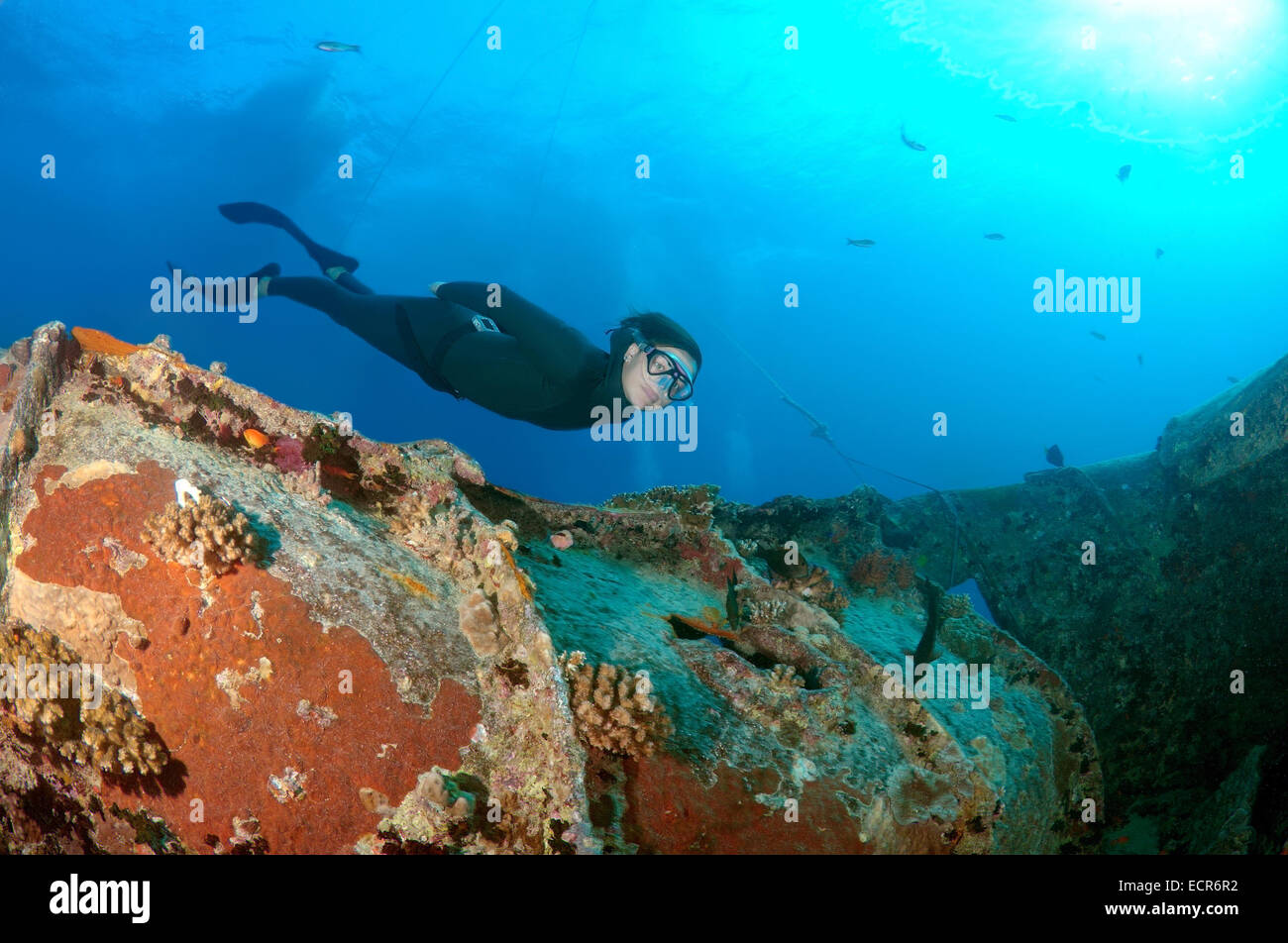 Taucher und thistlegorm schiffswrack -Fotos und -Bildmaterial in hoher ...