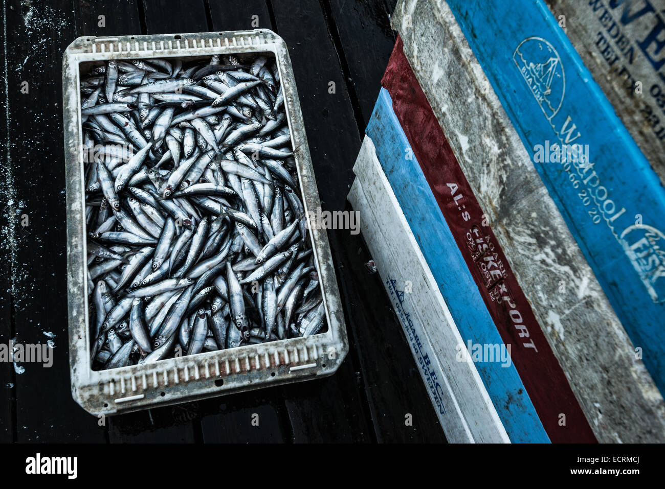 Box in den docks -Fotos und -Bildmaterial in hoher Auflösung – Alamy