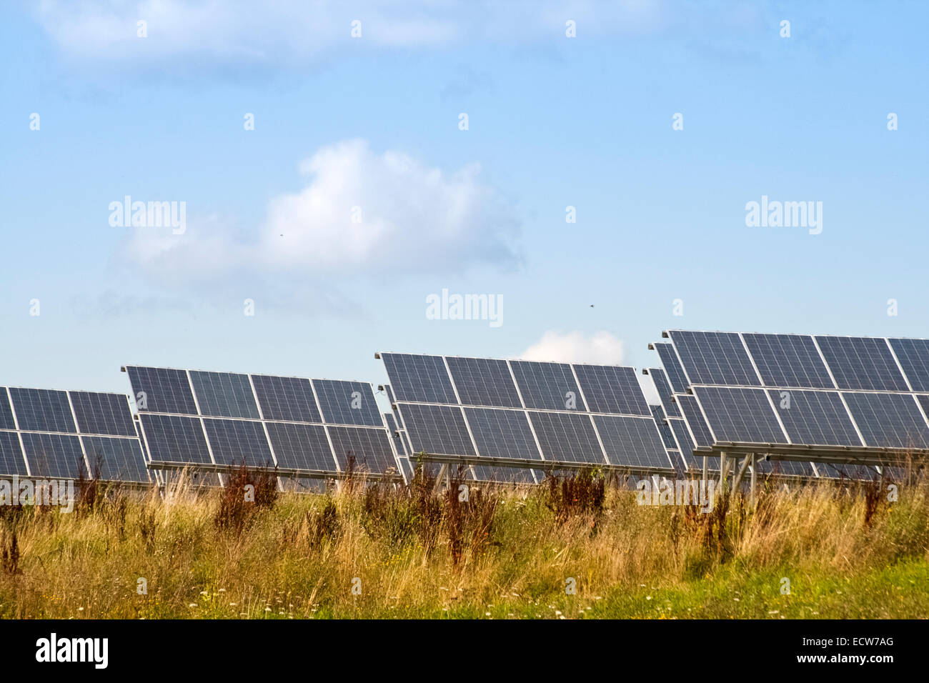 Solarzellen einer Photovoltaikanlage zur Energiegewinnung durch ...