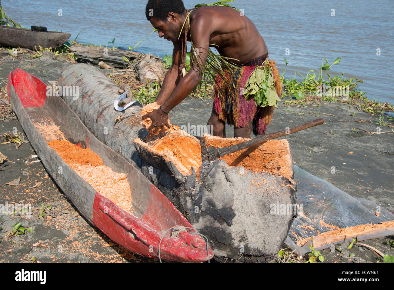 Sago palm papua new guinea -Fotos und -Bildmaterial in hoher Auflösung ...