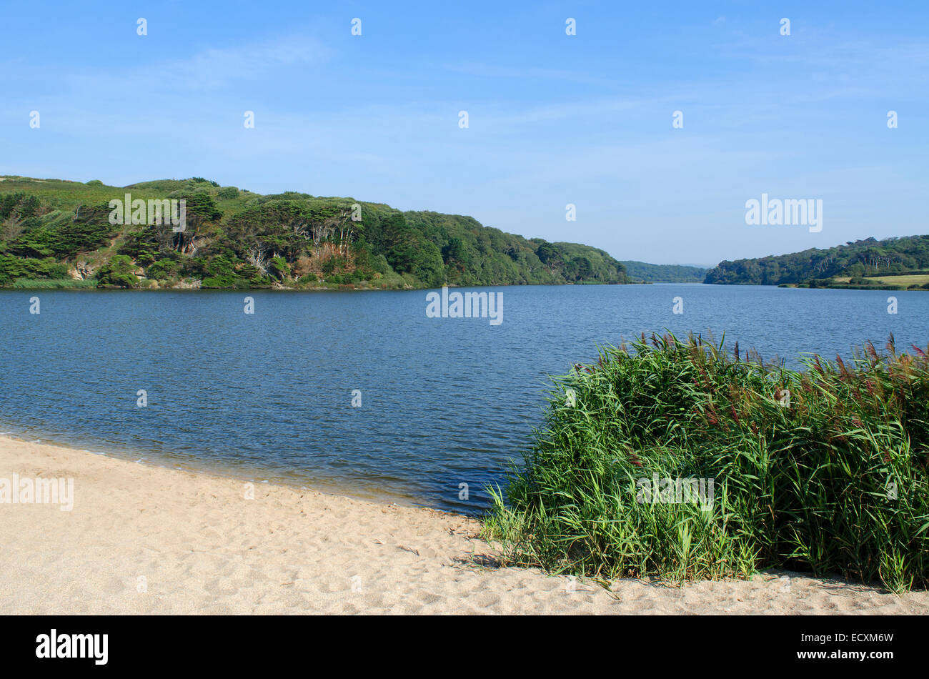 Loe pool und loe bar -Fotos und -Bildmaterial in hoher Auflösung – Alamy