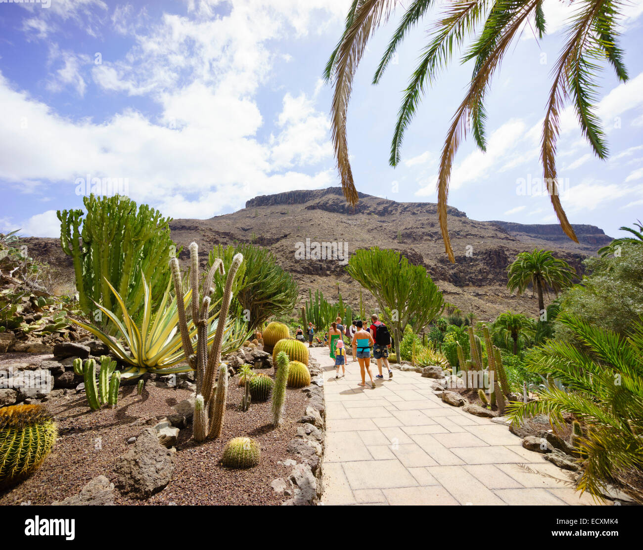 Palmitos Park Canaria Stockfotos und -bilder Kaufen - Alamy