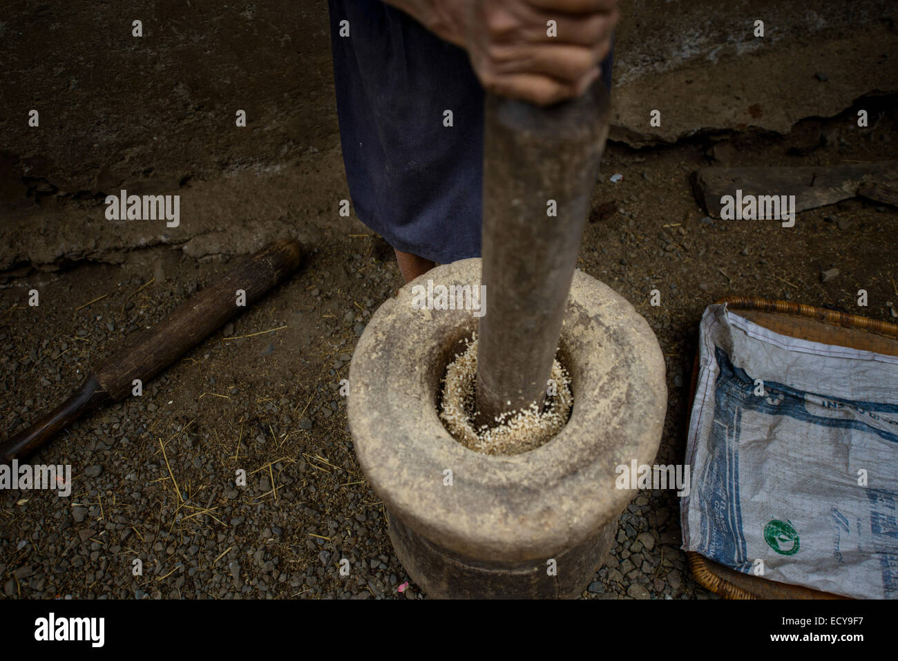 Reis, Stampfen, die Cordillera North Luzon, Philippinen Stockfotografie ...