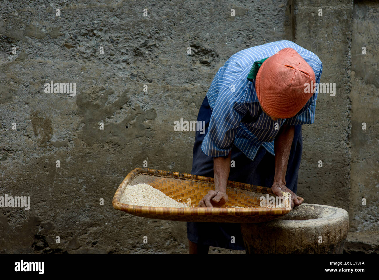 Stampfen von reis -Fotos und -Bildmaterial in hoher Auflösung – Alamy