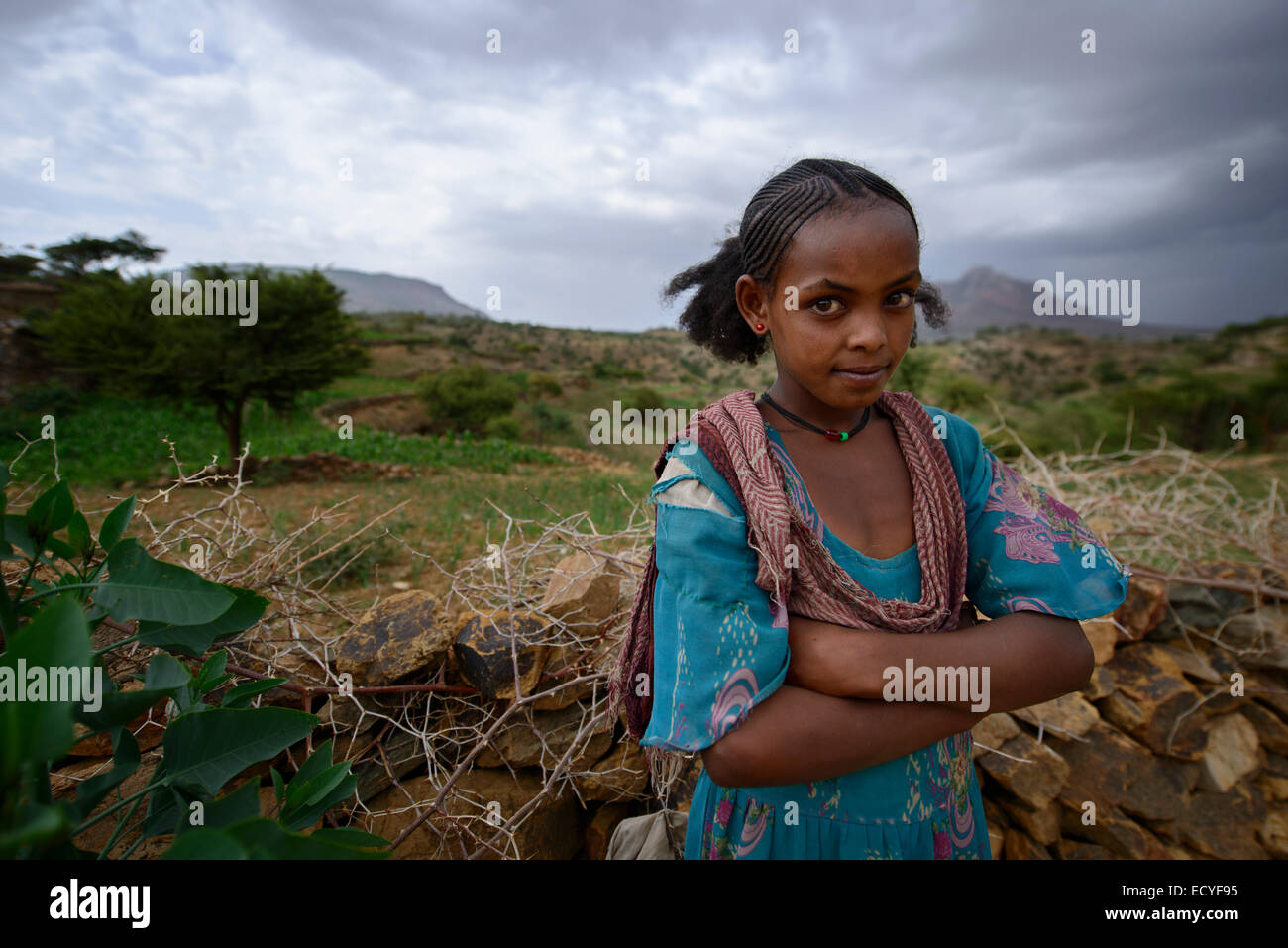 Tigray people -Fotos und -Bildmaterial in hoher Auflösung – Alamy