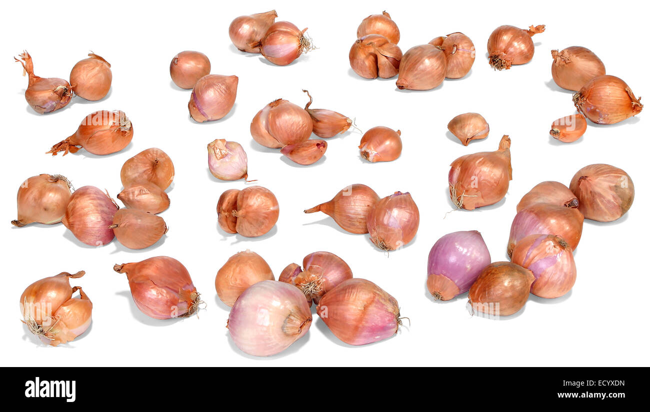 Mehrere schalotten -Fotos und -Bildmaterial in hoher Auflösung – Alamy