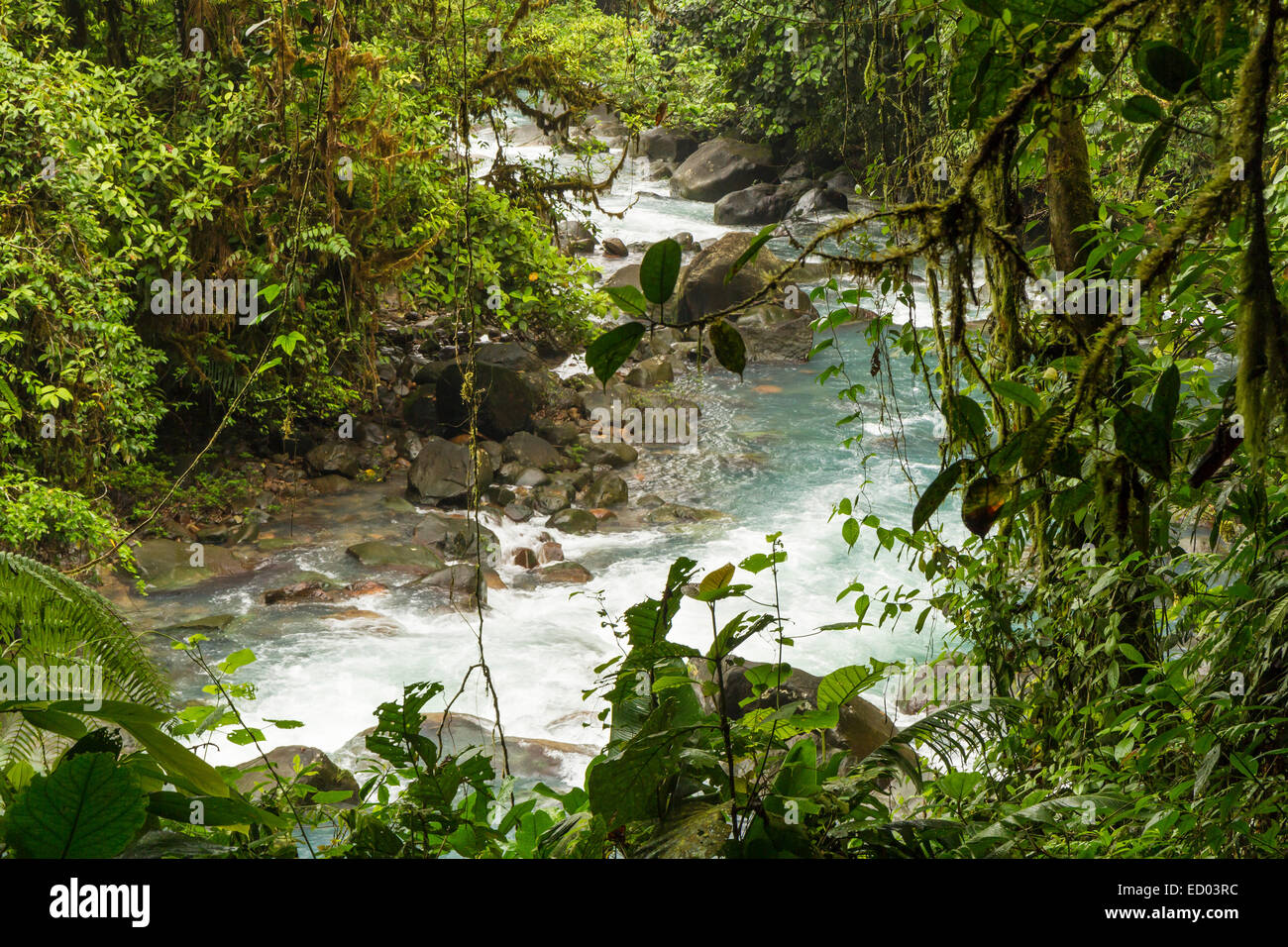 Das himmelblaue blaue Wasser des Rio Celeste im Regenwald im Vulkan ...