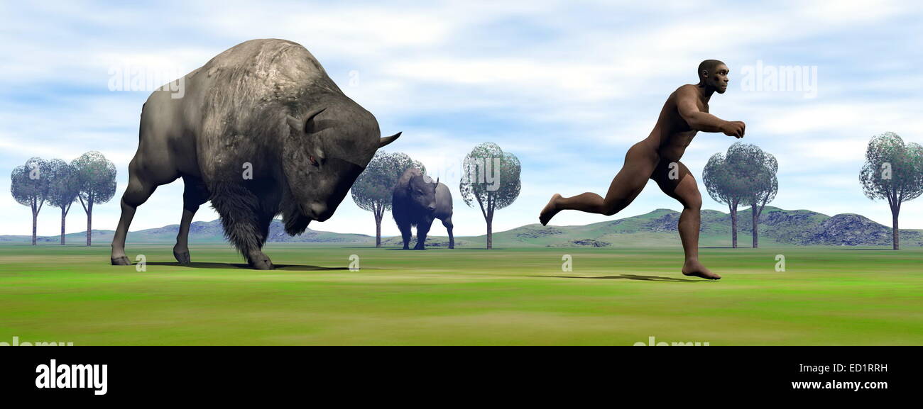 Aggressive Bison aufladen Homo Erectus Mann neige zu entkommen ...