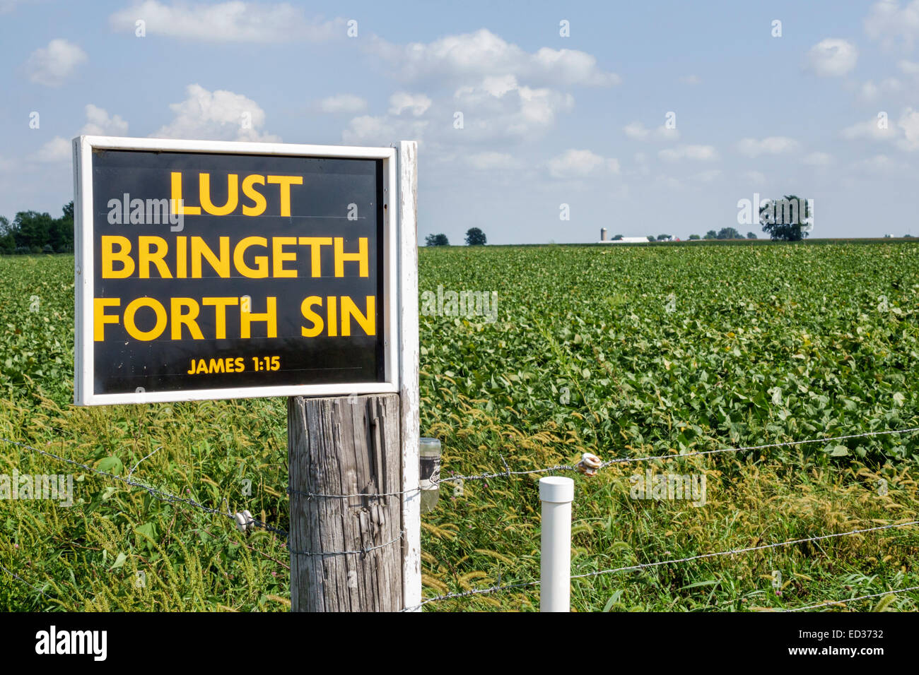 Illinois, Mittlerer Westen, Arthur, ländlich, Straße, Bauernhof Feld ...