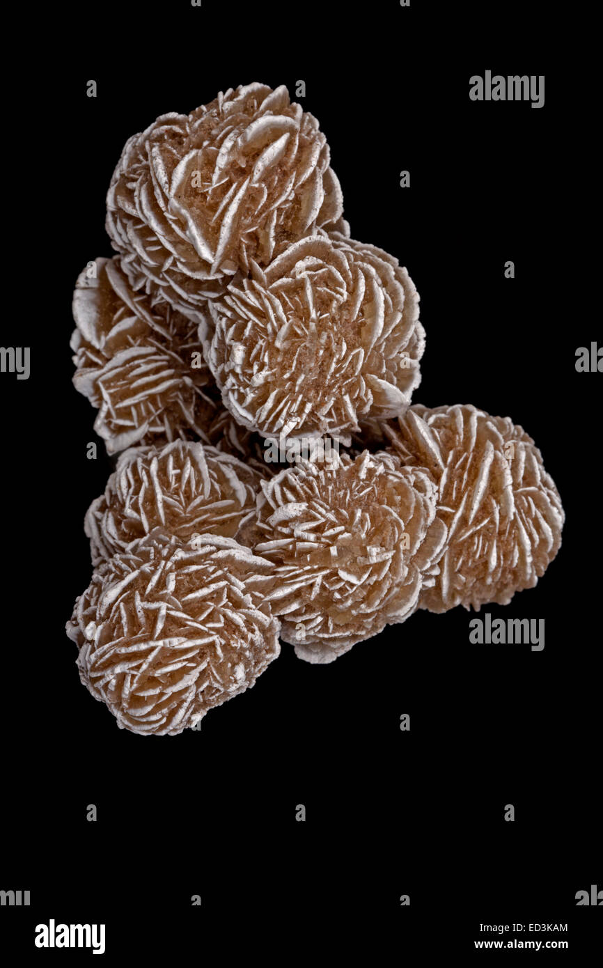 Eine form von gips -Fotos und -Bildmaterial in hoher Auflösung – Alamy