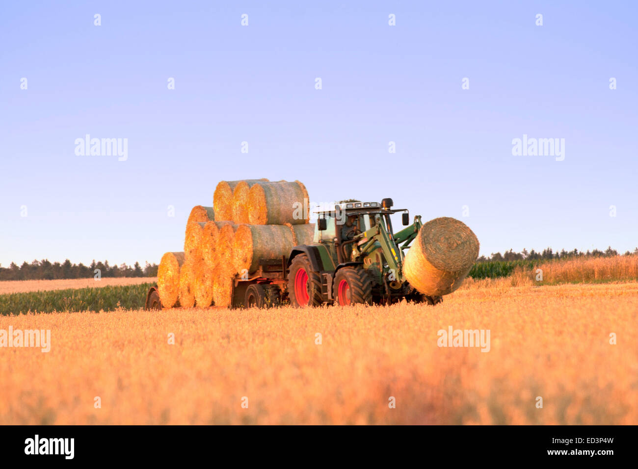 Feld und wiesenarbeit mit traktor -Fotos und -Bildmaterial in hoher ...