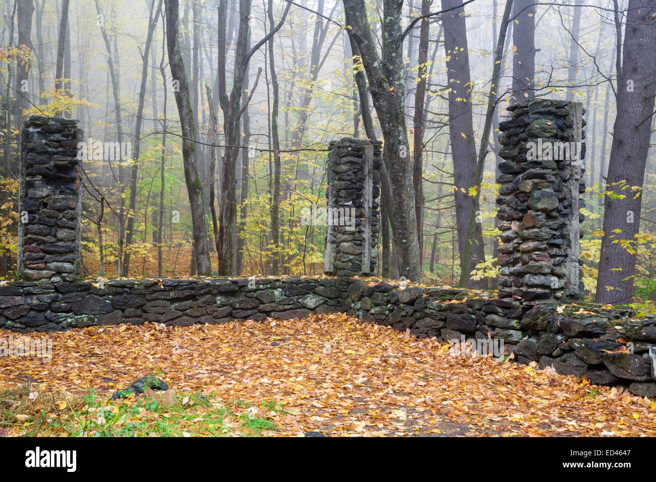 Madame Sherri Wald Stockfotos und -bilder Kaufen - Alamy