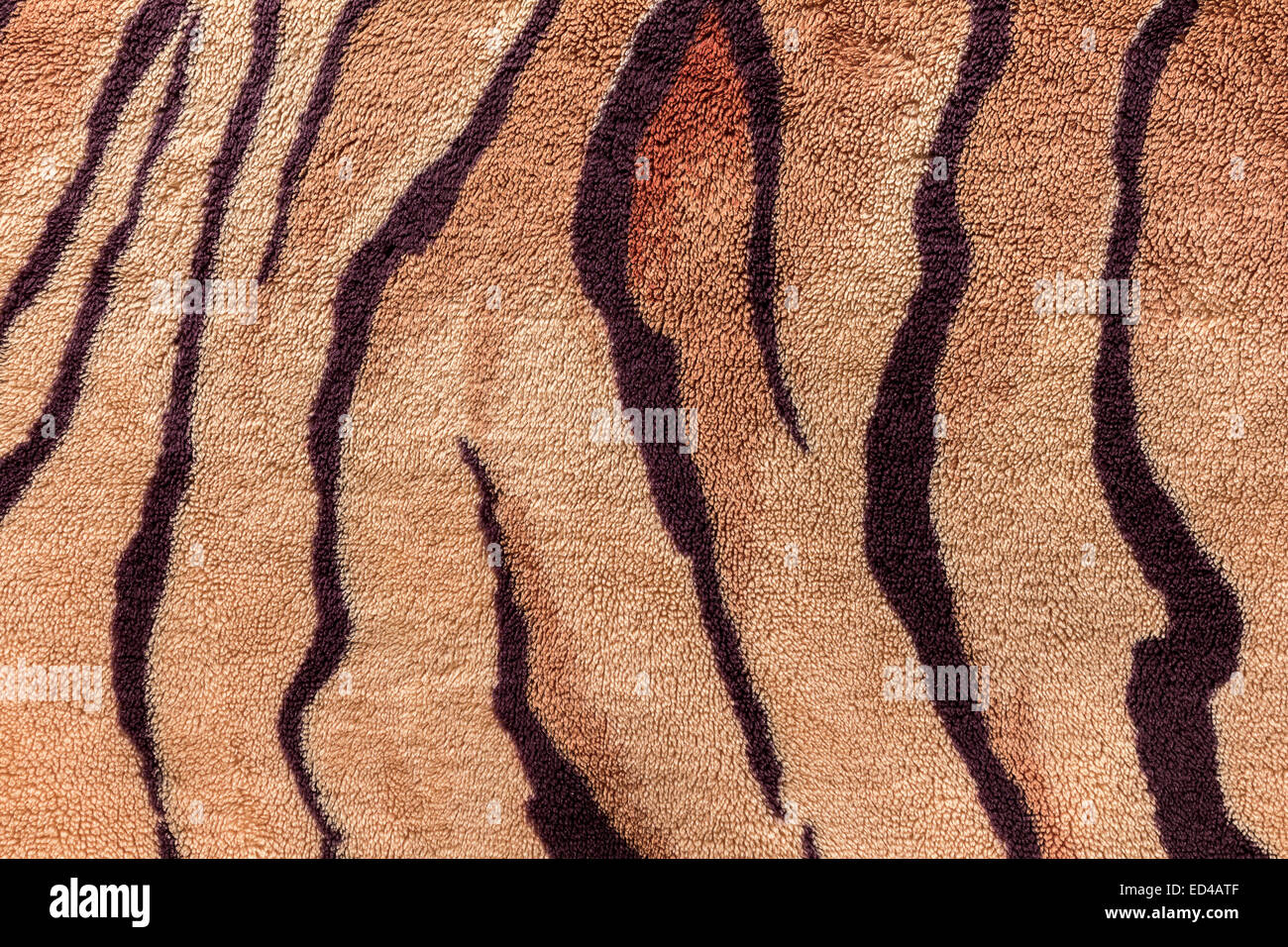 Textured bengal tiger fur -Fotos und -Bildmaterial in hoher Auflösung ...