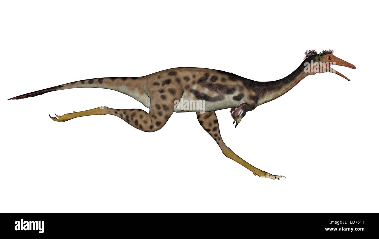 Mononykus olecranus -Fotos und -Bildmaterial in hoher Auflösung – Alamy