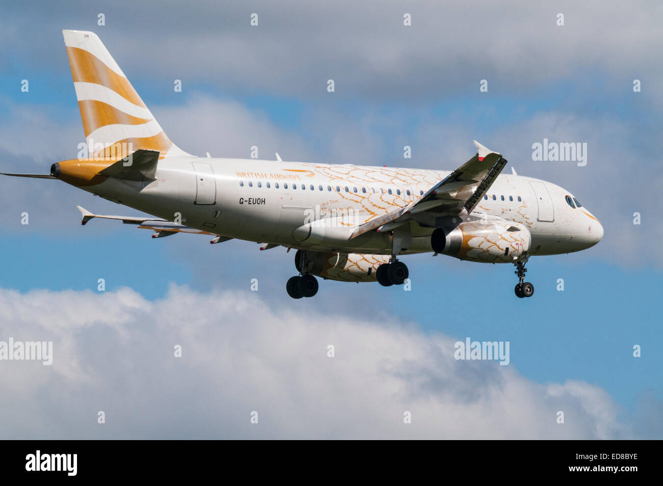 British Airways Airbus A319 Flugzeug in einem Sondersystem der goldenen ...