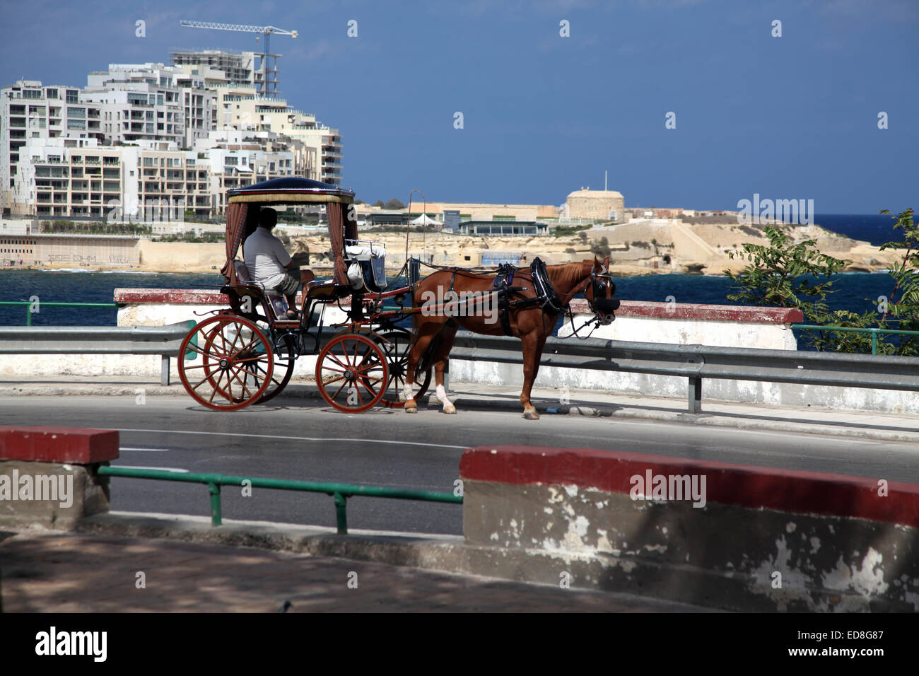 Maltesischer karozzin -Fotos und -Bildmaterial in hoher Auflösung – Alamy