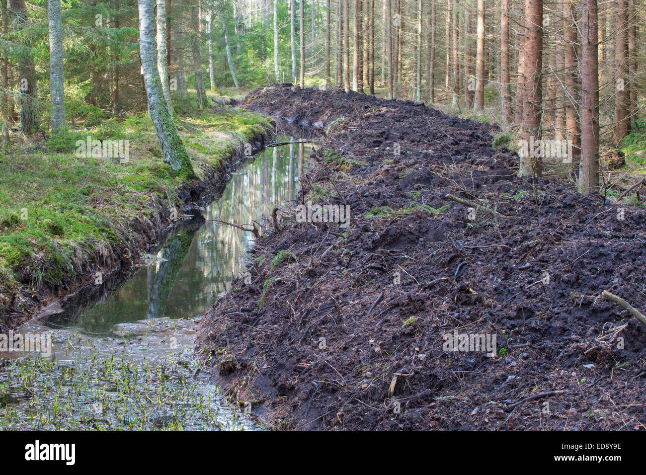 Digging Ditch Stockfotos und -bilder Kaufen - Alamy