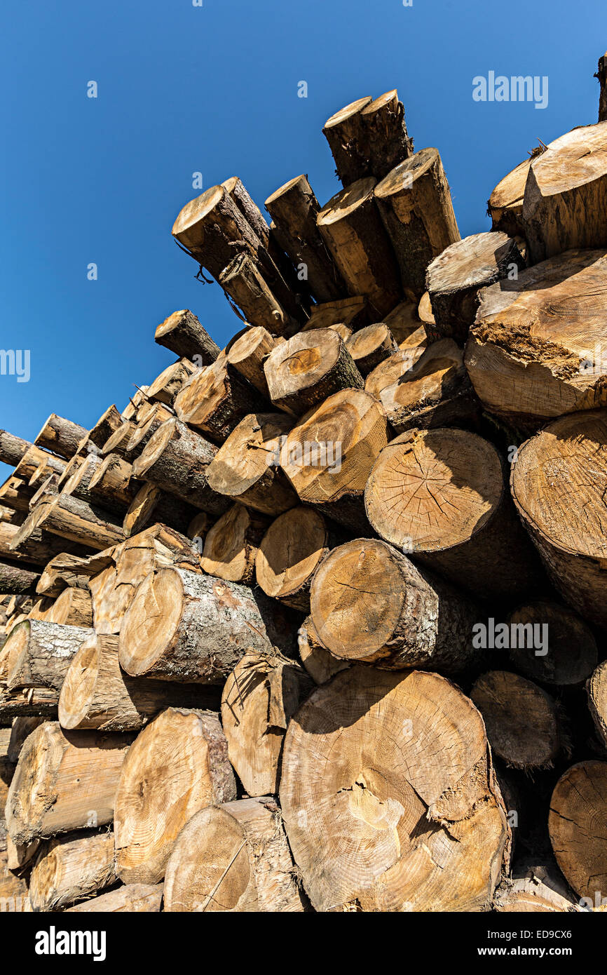 Holz stapeln im Sägewerk, Cerknica, Slowenien Stockfotografie - Alamy