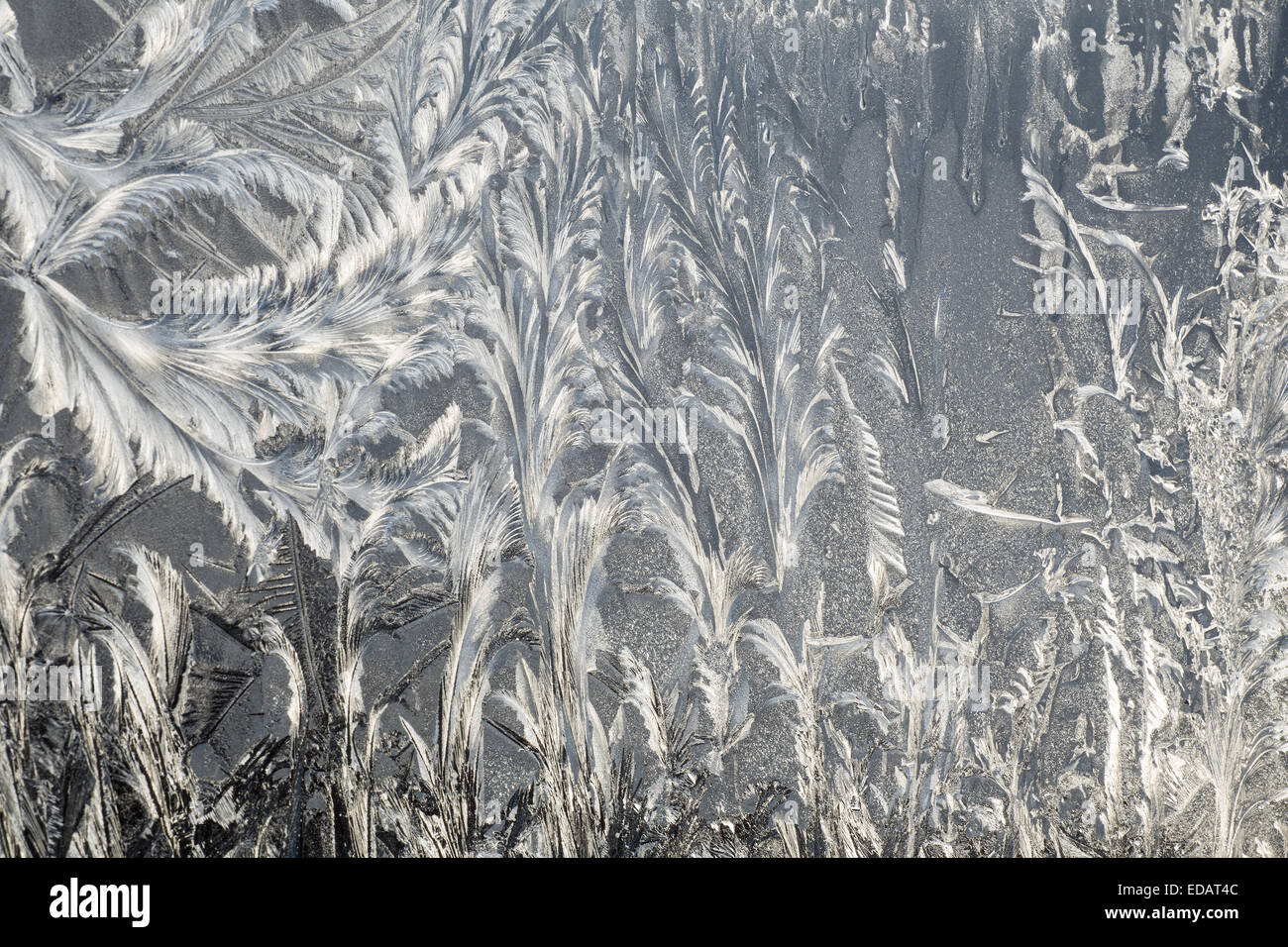 Fenster frost blumen -Fotos und -Bildmaterial in hoher Auflösung – Alamy