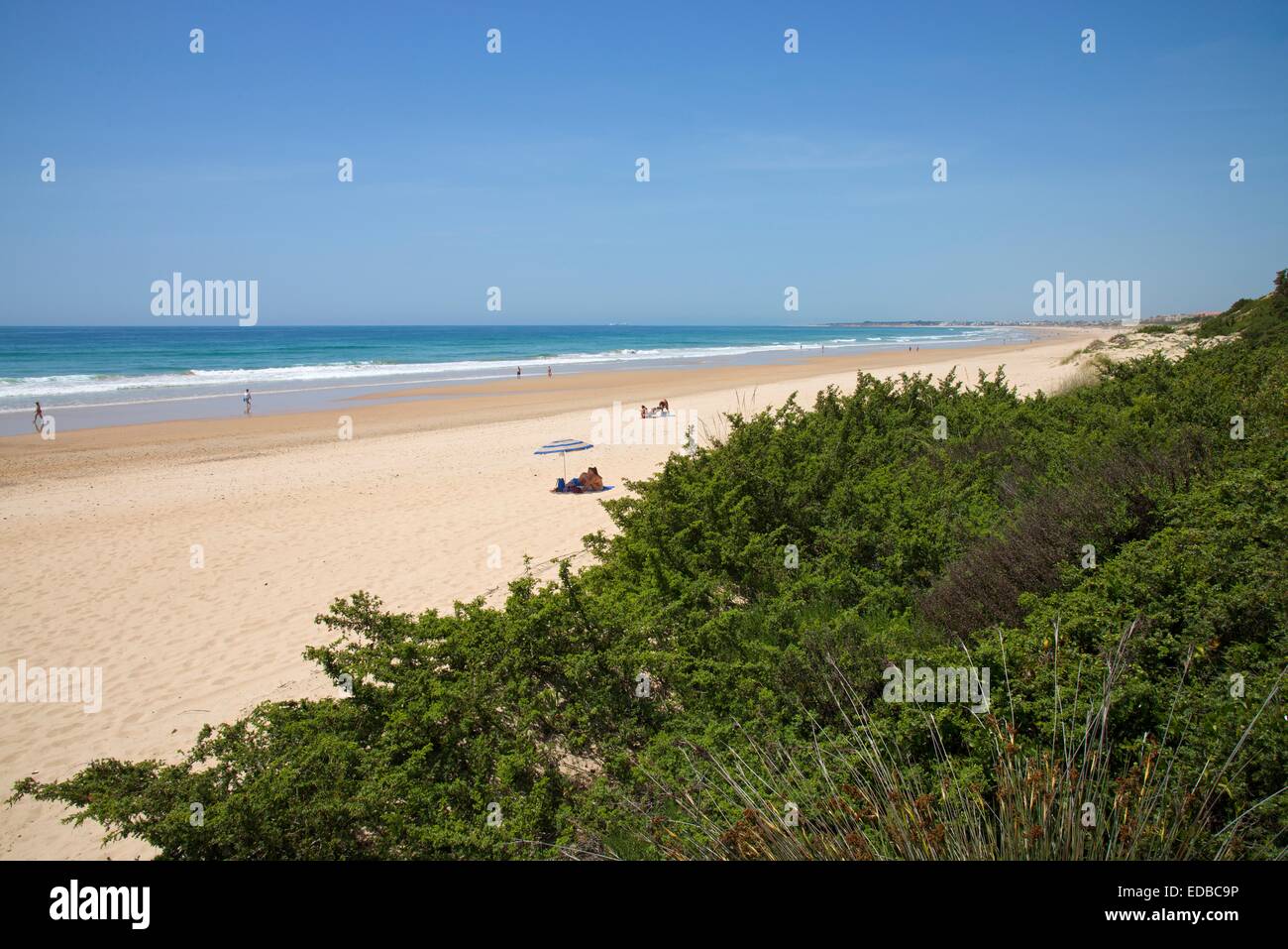 La barrosa -Fotos und -Bildmaterial in hoher Auflösung – Alamy