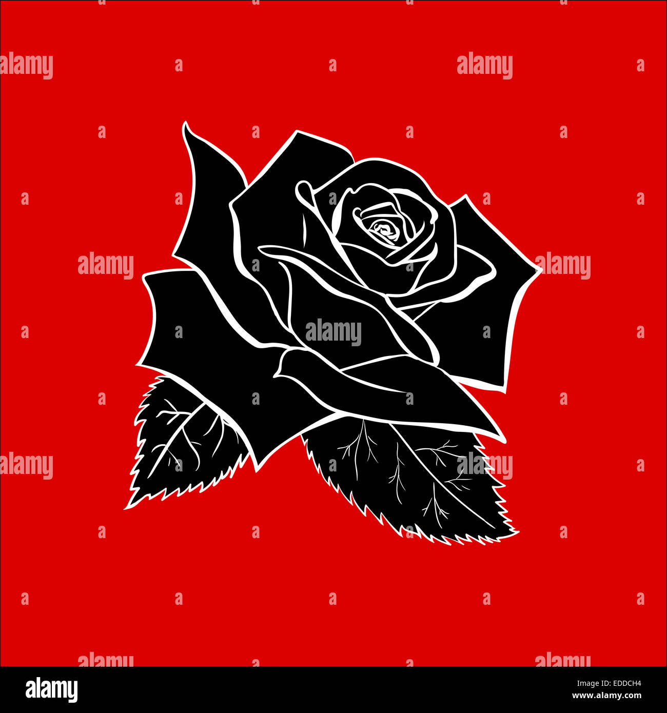 Flowers Rose Outline Drawing Vector Stockfotos und -bilder Kaufen - Alamy