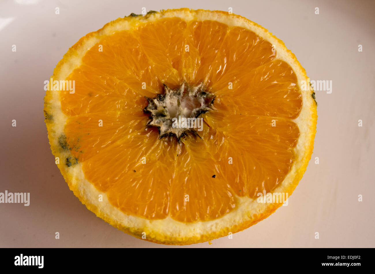 Frucht schimmelig -Fotos und -Bildmaterial in hoher Auflösung – Alamy