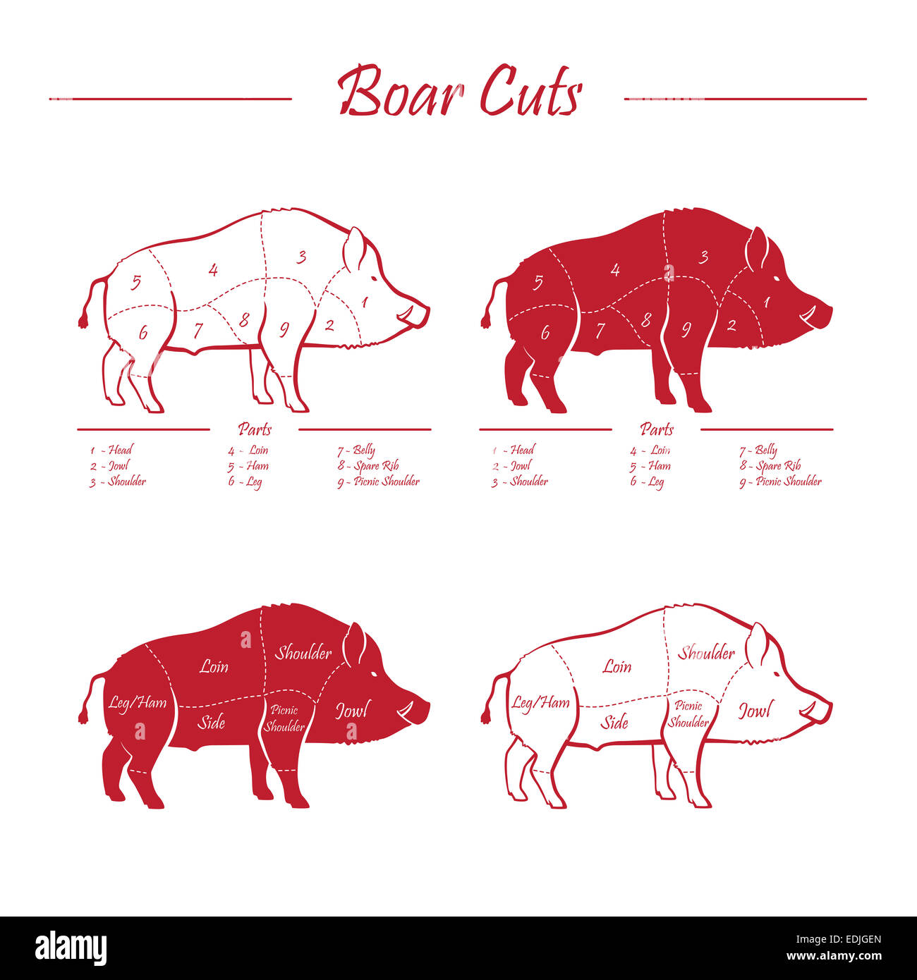 Wildschwein eber -Fotos und -Bildmaterial in hoher Auflösung – Alamy