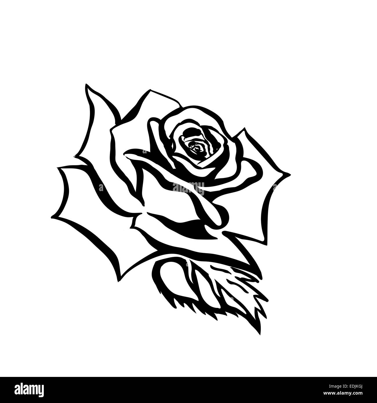 Flowers rose outline drawing vector Ausgeschnittene Stockfotos und ...