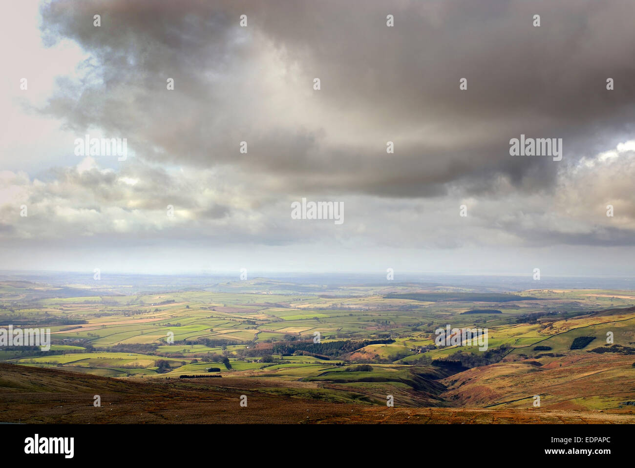 Eden Tal Stockfotos und -bilder Kaufen - Alamy