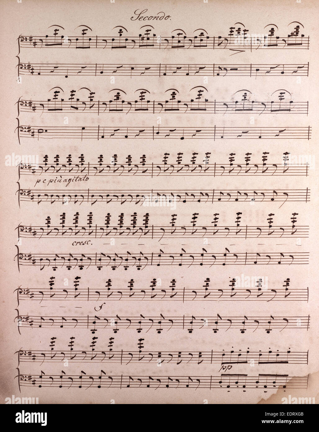 Handschriftliche Noten, Musiknoten, 19. Jahrhundert Stockfotografie - Alamy