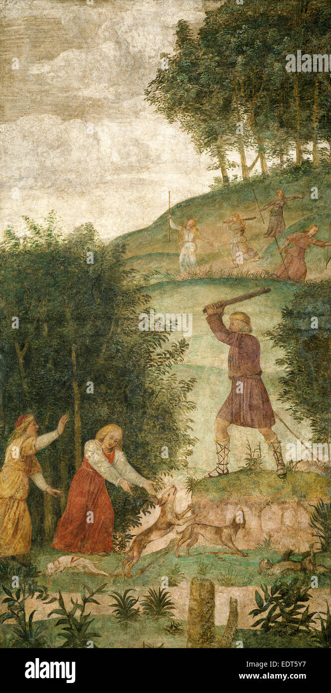 Cephalus bestraft bei der jagd -Fotos und -Bildmaterial in hoher ...