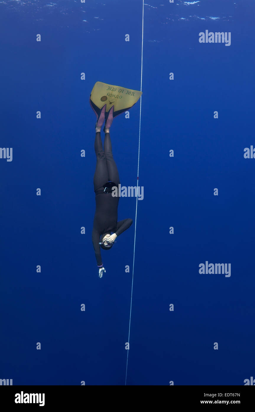 Freitauchen dahab -Fotos und -Bildmaterial in hoher Auflösung – Alamy