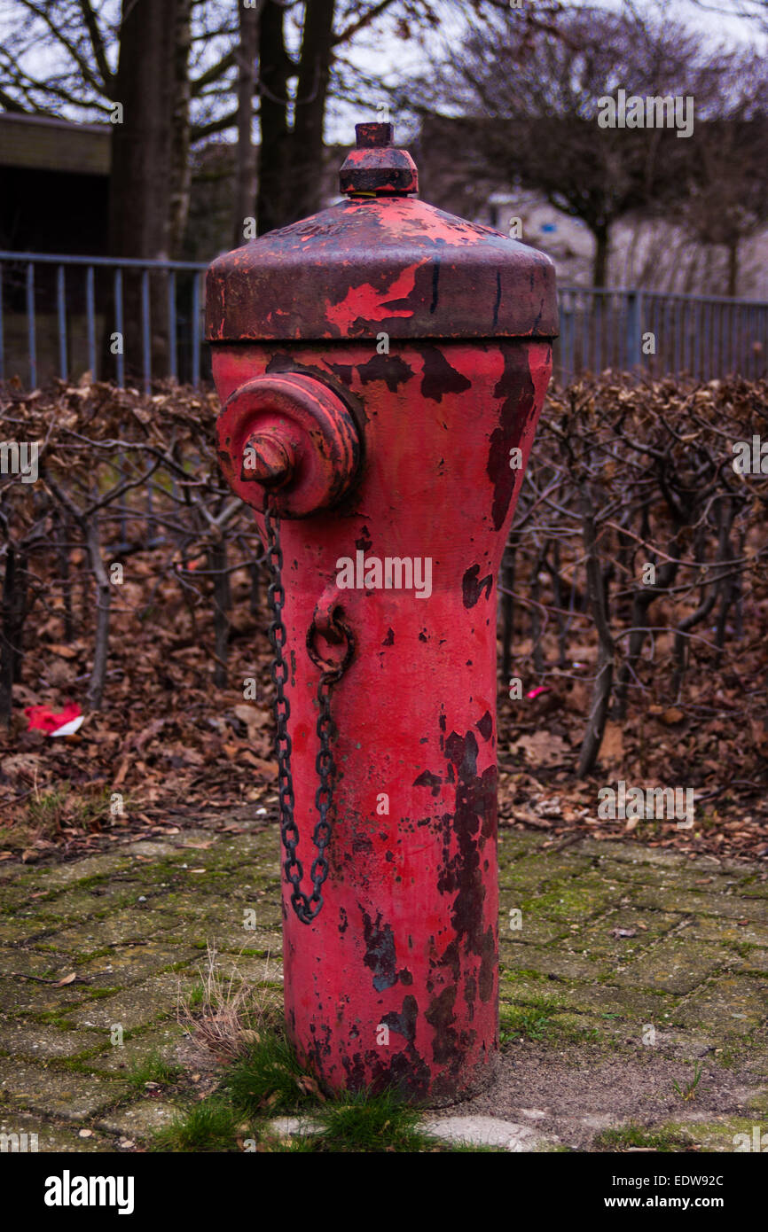 Red Fire Hydrant auf einer Straße in Nijmegen, Nederland ...