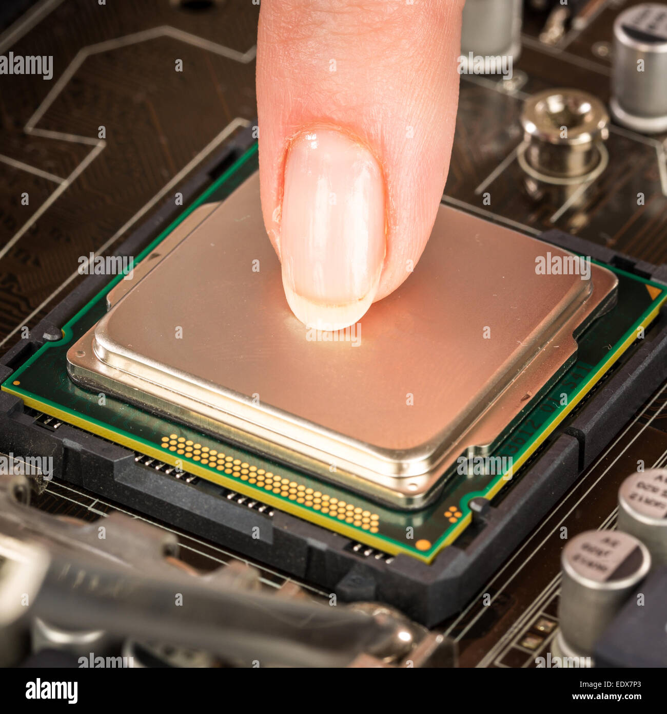 Menschlicher prozessor -Fotos und -Bildmaterial in hoher Auflösung – Alamy