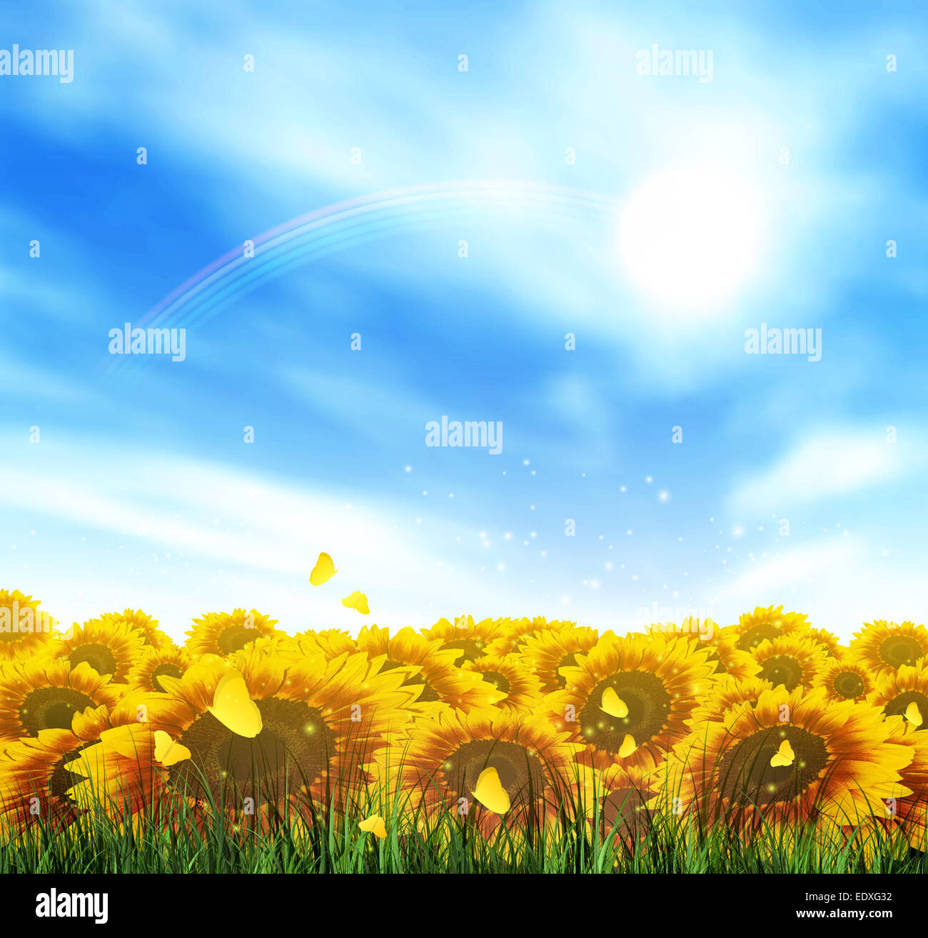 Sommerlandschaft mit Feld, Himmel, Sonne, Sonnenuntergang, Regenbogen ...