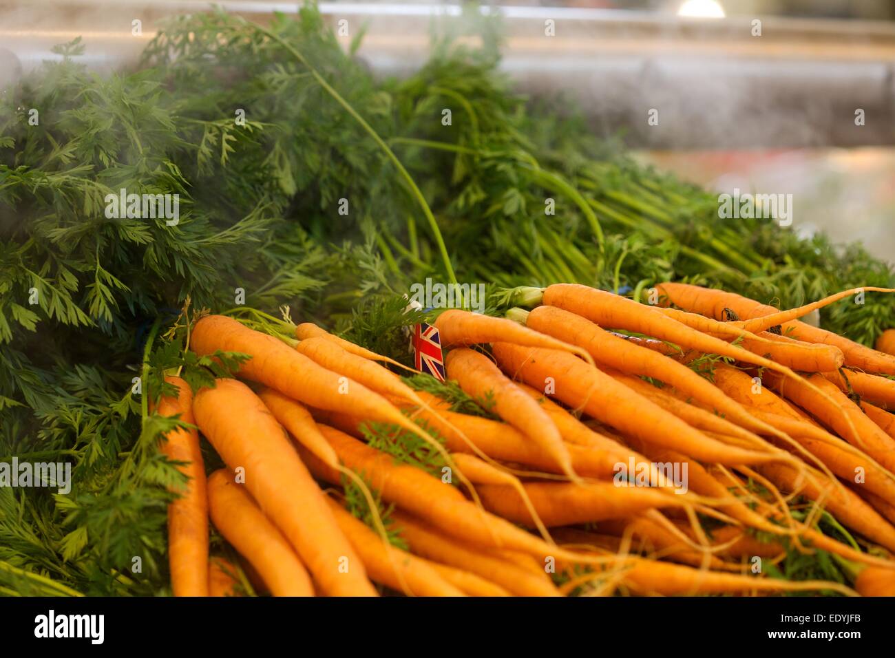 Karotten in supermarktregalen -Fotos und -Bildmaterial in hoher ...