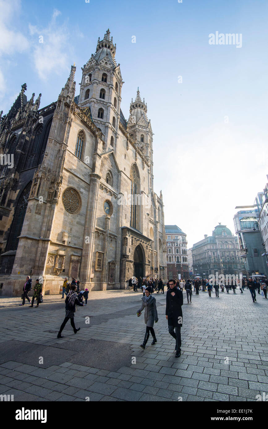 Der Stephansdom (Stephansdom), Wien, Österreich Stockfotografie - Alamy