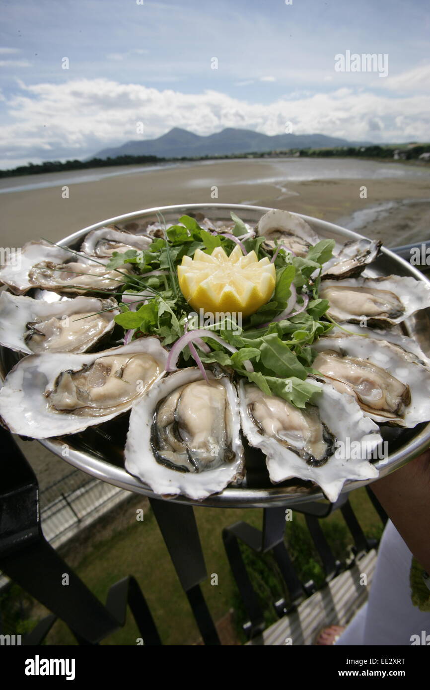Mourne Seafood Bar - Bob und Joanne McCoubrey besitzen und die Mourne ...