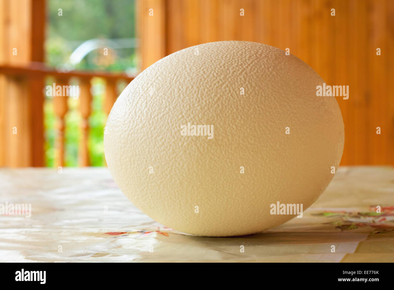 Straussenei-auf der Tabelle Veranda Hütte Stockfotografie - Alamy