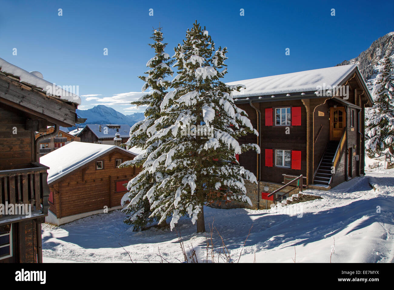 Schweizer Holz-Chalets im Schnee im Winter in den Alpen, Wallis / Valais, Schweiz ...